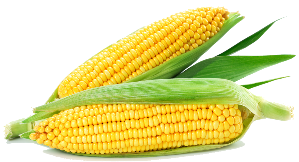 About – R.C. HATTON FARMS