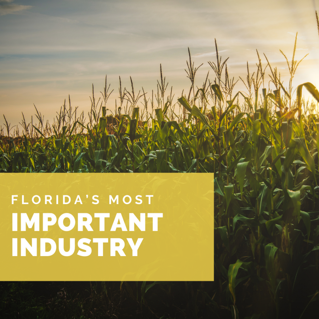 Florida’s Most Important Industry – RC Hatton Farms