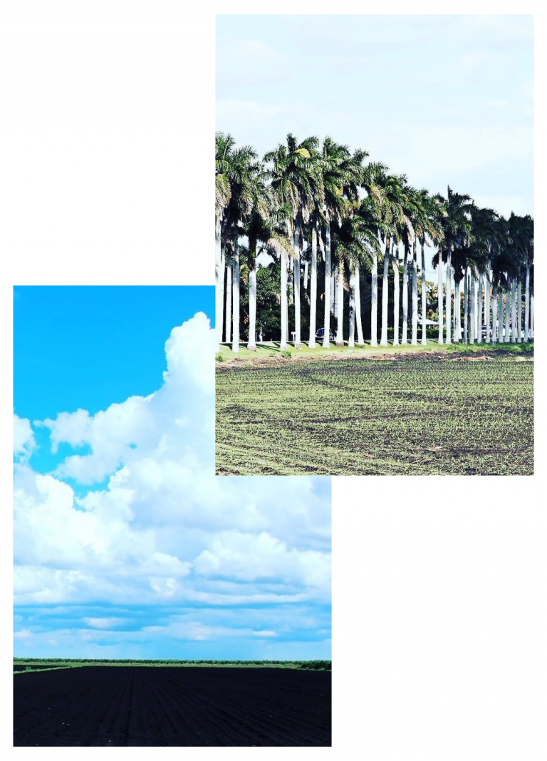 Get to Know Us – RC Hatton Farms