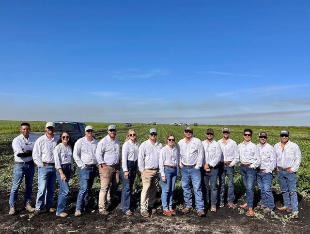 Sautéed Cabbage – RC Hatton Farms