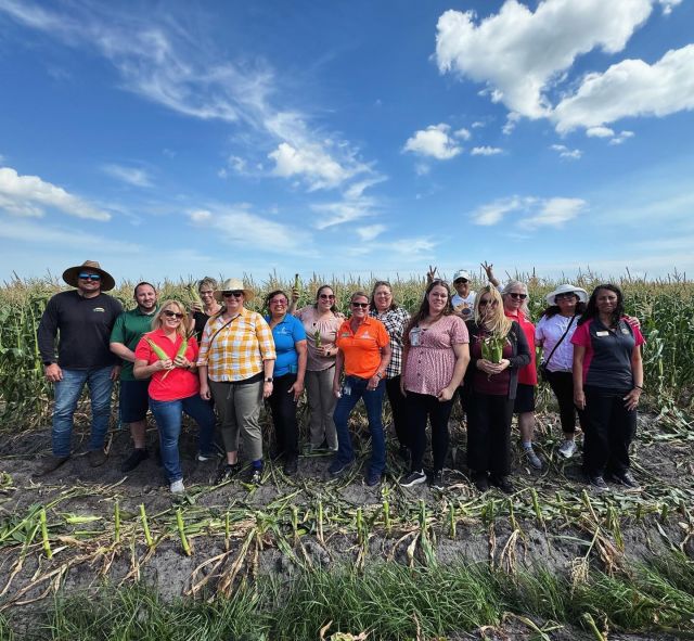 Sautéed Cabbage – RC Hatton Farms